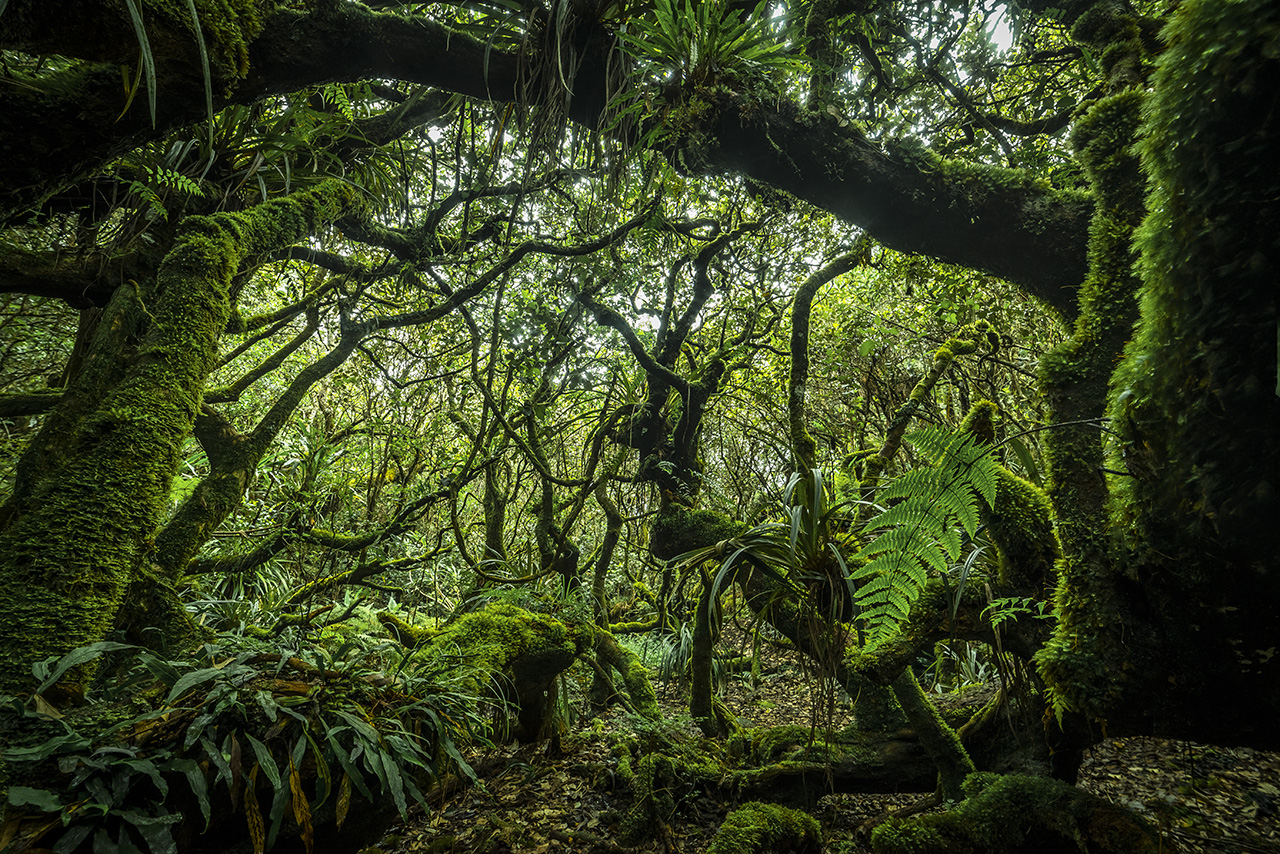 Daniel Payet photographie artiste peintre photographe d'art