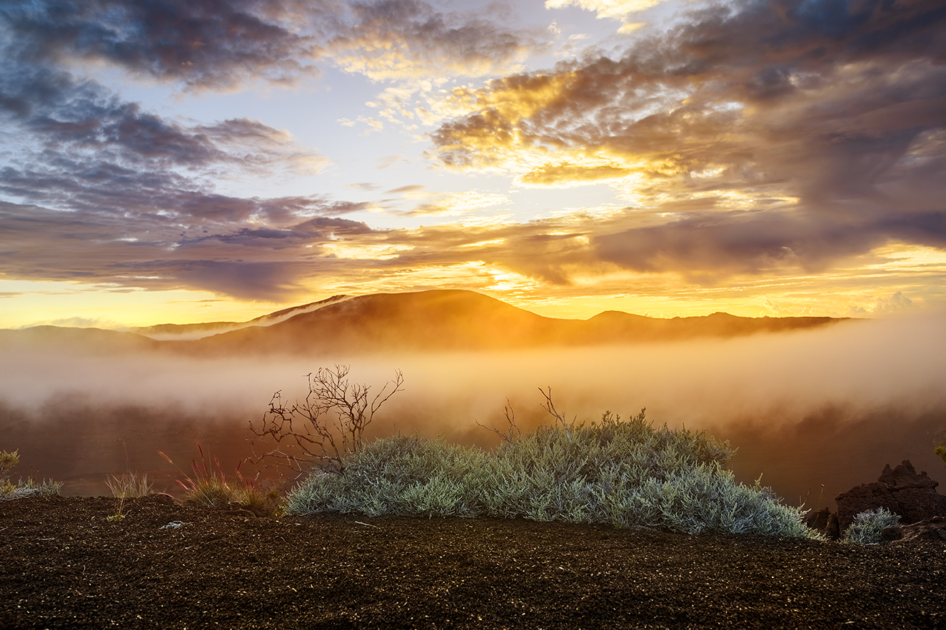 Daniel Payet photographie artiste peintre photographe d'art