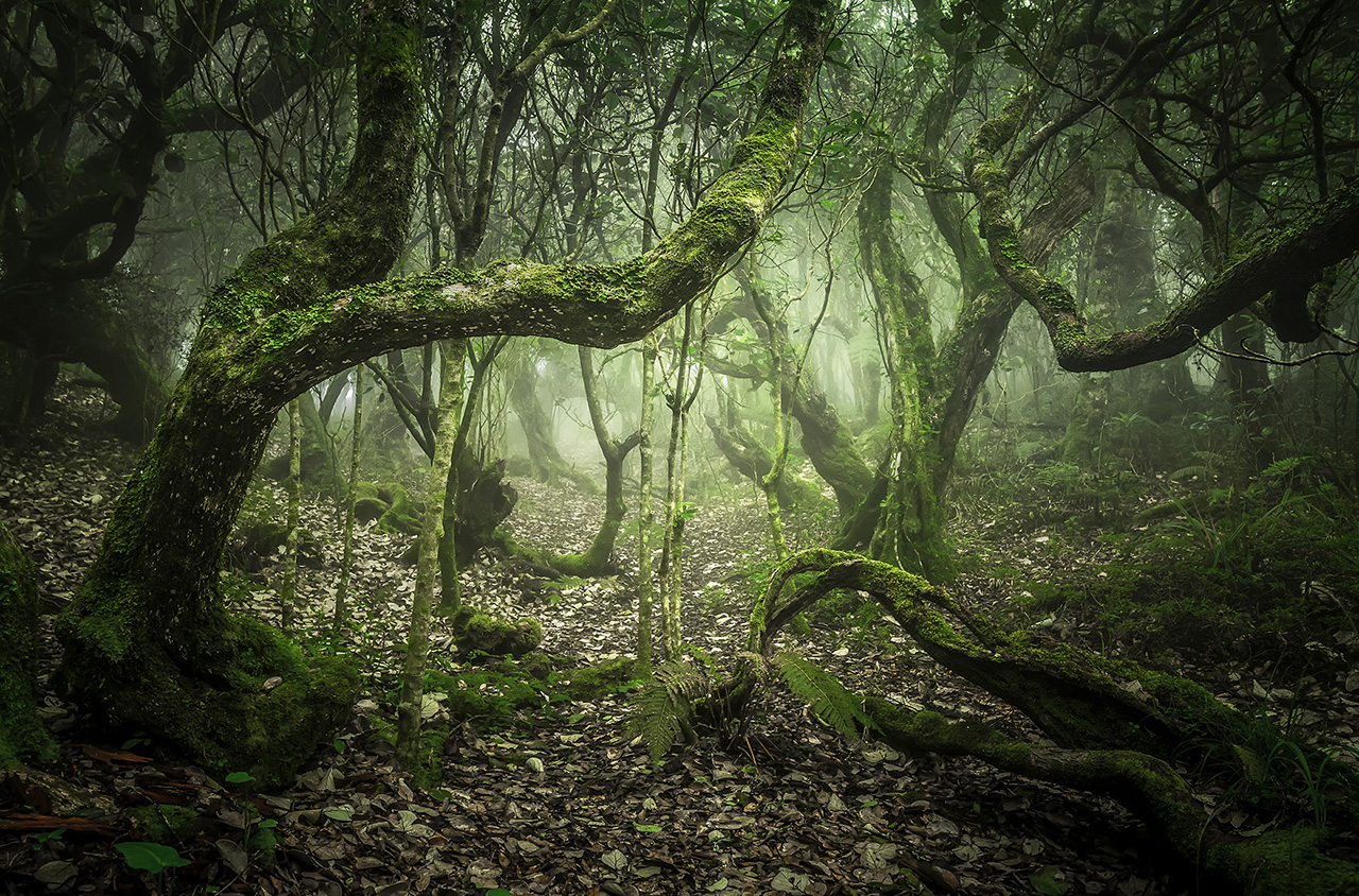 Daniel Payet photographie artiste peintre photographe d'art